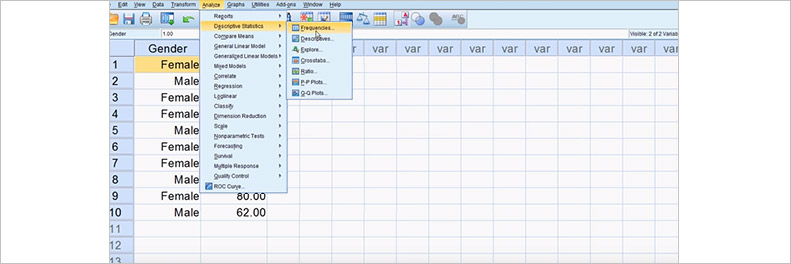 IBM SPSS Statistics dropdown menu, showing Analyze Descriptive ...